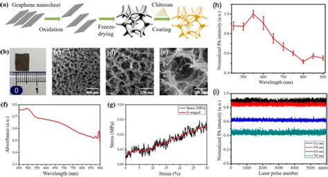 Biosensors Special Issue Nanomaterial Based Biosensors For Biomedical Applications