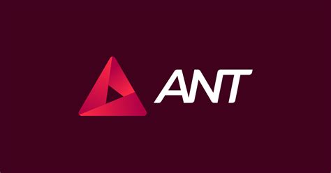 agile networks technologies customer experience company