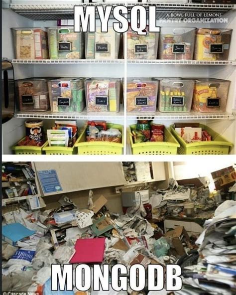 Mern Stack User Authentication Part 1 User Accounts With Jwt Bcrypt