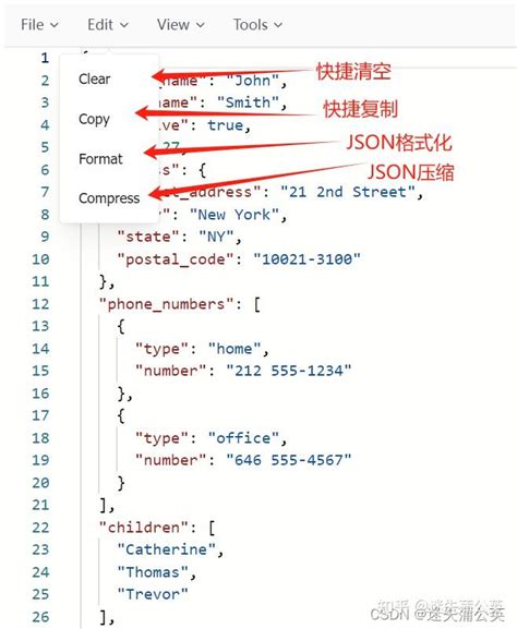 超级好用的json格式化可视化在线工具 知乎
