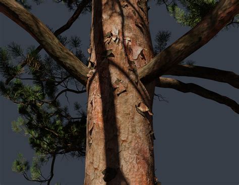 Cycles And Eevee Bump Mapping Compared To Vray Lighting And Rendering Blender Artists Community