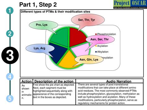 Ppt Post Translational Modifications Powerpoint Presentation Free