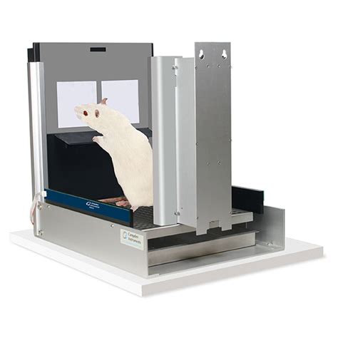 Delay Discounting Task Dd For Rats Campden Instruments