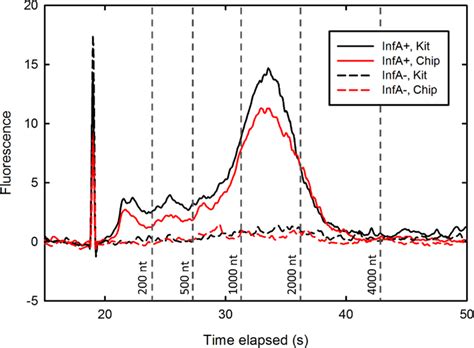Size Distribution Of Extracted Rna Electropherogram Of Bioanalyzer Rna Download Scientific
