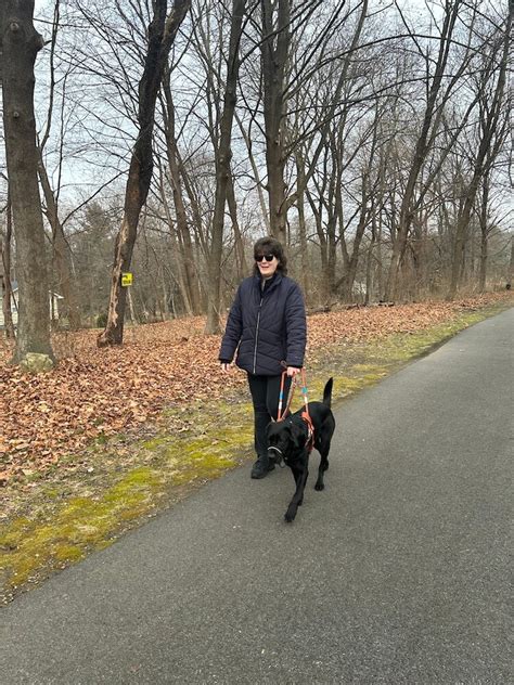 Julie And Flyer Guiding Eyes For The Blind