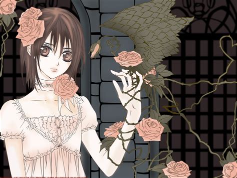 Download Rose Flower Yuki Kuran Yuki Cross Anime Vampire Knight Hd Wallpaper