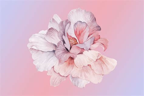 Фитоэстрогены в семенах льна — опасны ли они? Как лигнаны действуют на ...