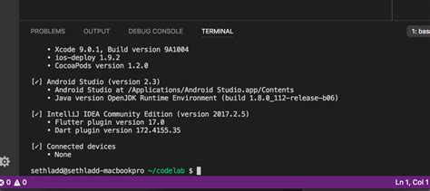 I Wish For Flutter Doctor Printed A One Line Summary At The Very End · Issue 12767 · Flutter
