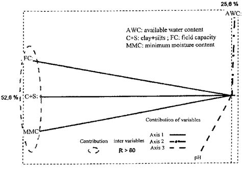 Plot Of The First Principal Component Horizontal Axis Versus The