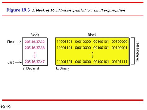 Network Layer Logical Addressing Powerpoint Slides Myprivatetutor Uae