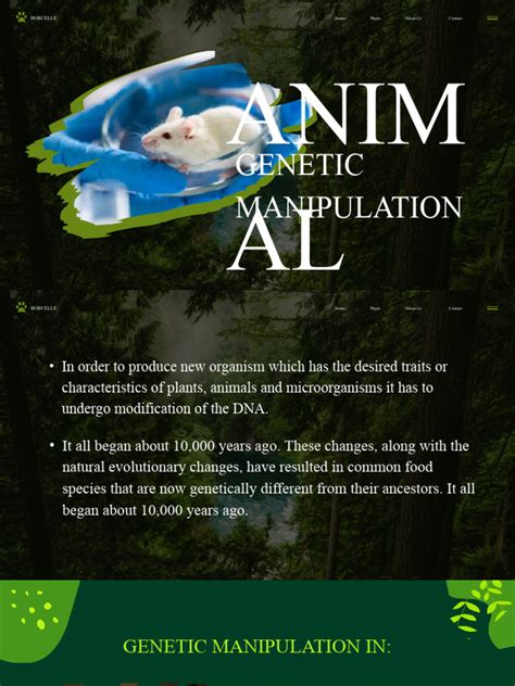 Atomic Theory Science Presentation Colorful 3d Style Pdf Embryo Genetics