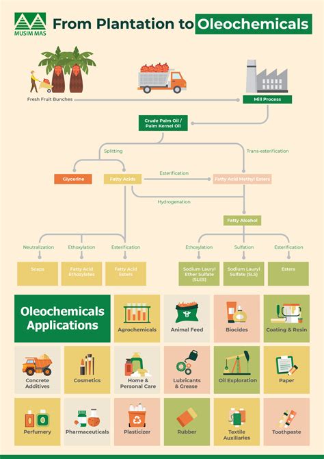 Crude Palm Oil Process