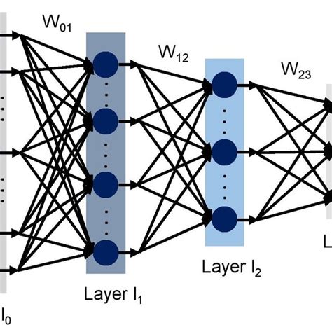 Schematic Representation Of The Densely Connected Layers Download Scientific Diagram