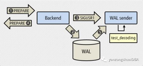 Postgresql 14中两阶段提交的逻辑解码 Csdn博客