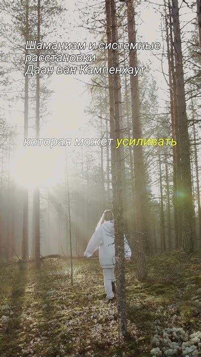 #книга Шаманизм в системных расстановках #сила #расстановки #молитва # ...