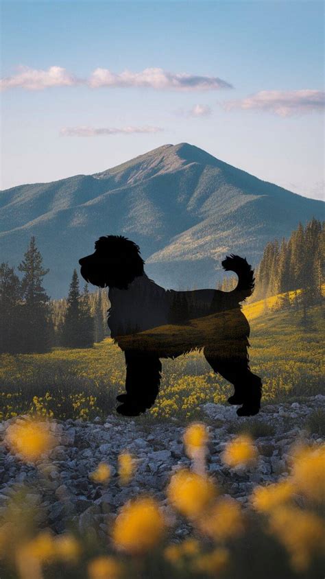 20 Adorable Cockapoo Tattoo Ideas For Dog Lovers Cockapoo Hq