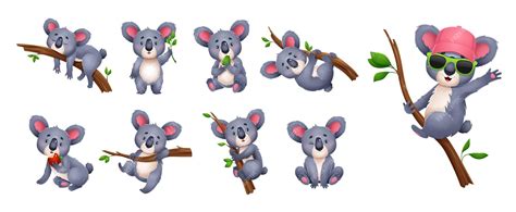 만화 코알라 캐릭터 고립 터 세트 프리미엄 벡터