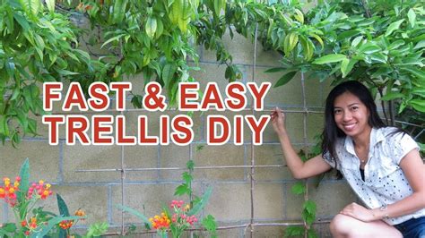 Easy Fast Trellis DIY No Skills Required Your Gardening Forum