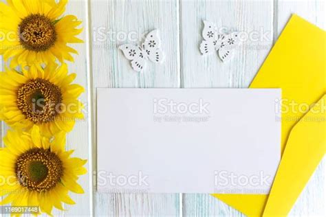 봉투 해바라기 꽃 밝은 나무 배경에 선물 상자와 템플릿 해바라기의 꽃과 함께 우편물 용 배너 플랫 레이 상단 보기 0명에 대한 스톡 사진 및 기타 이미지 Istock