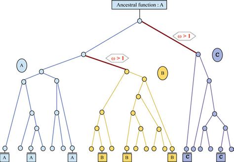 1 Homology Based Functional Annotation Functionally Annotated Leaves Download Scientific