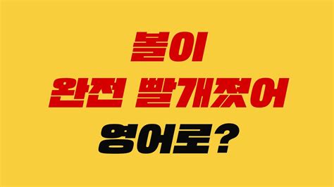 0914 수 하루5분 일상영어 5문장 영어 회화 공부법 Youtube