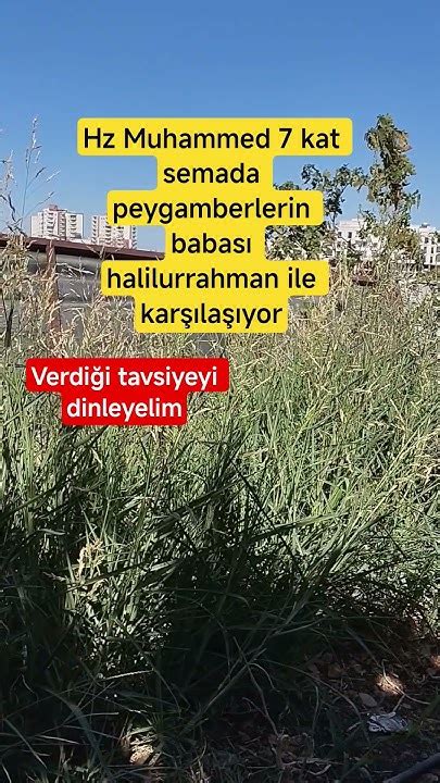 Hz Peygamberimiz 7 Kat Semada Peygamberlerin Babası Halilurrahman Ile
