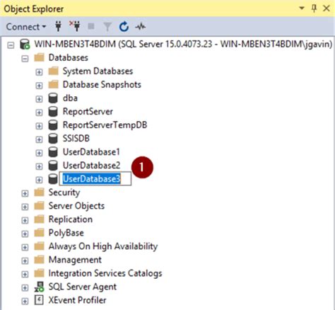 How To Find Unused Databases In SQL Server