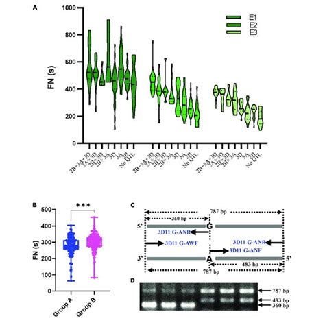 The Effects Of Major Qtls For Fn And Marker Development A Effects