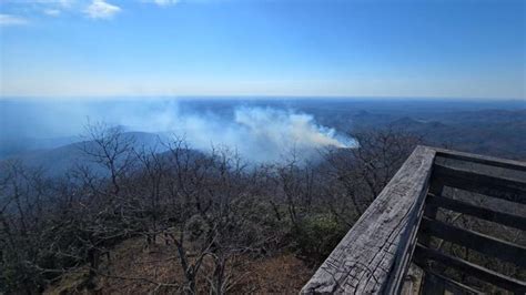 Abbey Winters Arrested For Pouring Drink On Reporters Head