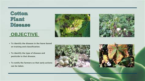 Cotton Plant Disease Detection Devpost