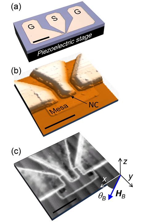 A An Optical Microscope Image Of The Cpw Ground Signal Ground G S G Download Scientific