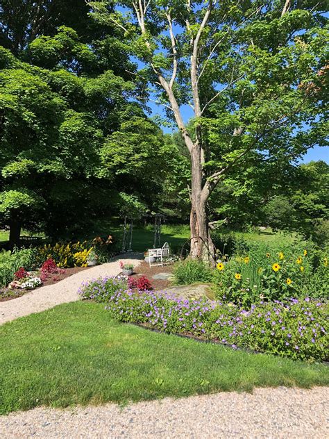 Our July Weddings Will Love The Greywacke Meadows