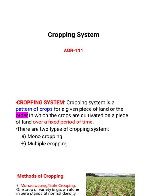 Cropping Systems Pdf Crop Rotation Crops
