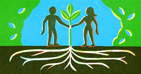 Exploring The Energizing Benefits Of Dry Fruits Proviplus