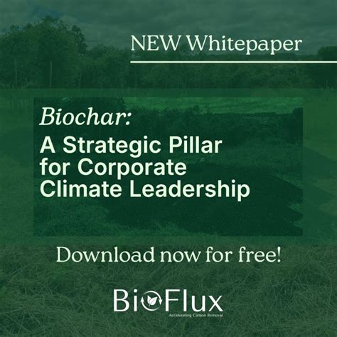 Biochar Vs Hydrochar Understanding The Differences And Similarities