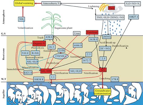 Simulations Of Nitrate Leaching From Sugarcane Farm In Metahara Ethiopia Using The Leachn Model