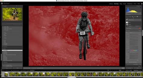 Lightroom Tutorials To Master Post Processing
