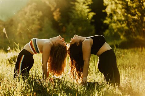 화창한 여름 날에 자연에서 요가를 하 고 긴 머리를 가진 두 아름 다운 여자 2명에 대한 스톡 사진 및 기타 이미지 2명 가냘픈 갈색 머리 Istock