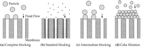 Schematics Of The Blocking Filtration Laws Iritani 2013 Download Scientific Diagram