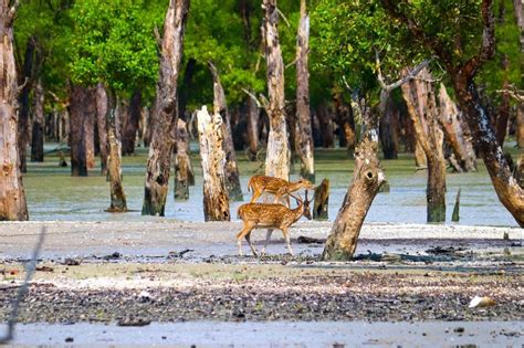 Mohammad Rajib Hossain On Linkedin It Was A Great Team Engagement To