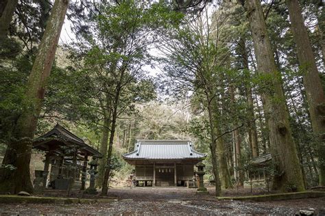 劇場版 屍囚獄 結ノ篇・画像・写真 ぴあ映画