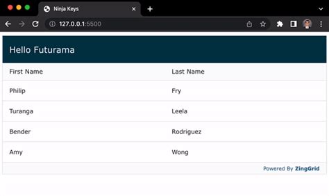 Using Ninja Keys With Zinggrid