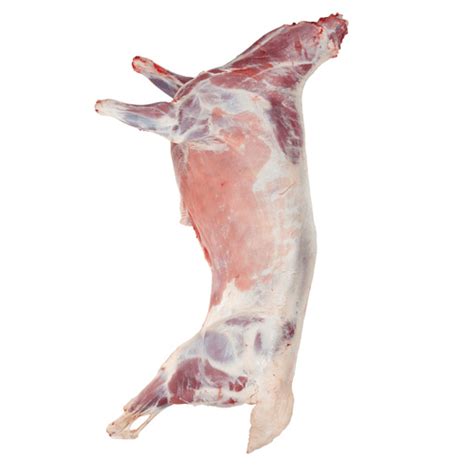 Halal Frozen Lamb Whole Thanuchaicharoen Klomklin Co Ltd