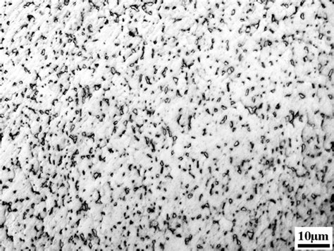Microstructure Of As Received Ti 6al 4v Alloy Download Scientific Diagram