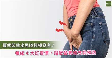 夏天泌尿道炎反覆發作怎麼辦醫吃蔓越莓益生菌外還要注意 4 件事情 Heho健康