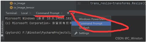 Tensorboard 无法将 Tensorboard”项识别为 Cmdlet、函数、脚本文件或可运行程序的名称。请检查名称的拼写，如果