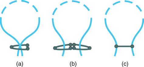 A Individual Condensin I Molecules Dark Green Can Compact Chromatin