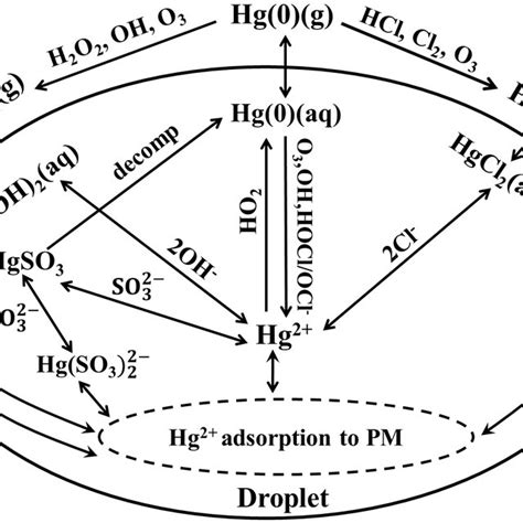 Schematic Of Different Mercury Reactions Utilized In The Gnaqpms Hg