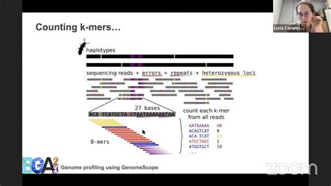 Fri 15 Sep 0900 Genome Profiling Using Genomescope Youtube