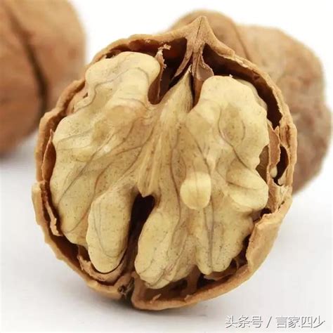又是一年核桃成熟季核桃长的象脑真的能补脑吗 每日头条
